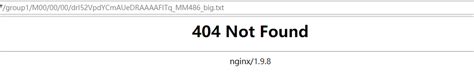 fastdfs上传成功后无法访问到文件 csdn社区