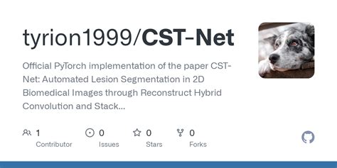 Github Tyrion Cst Net Official Pytorch Implementation Of The Paper Cst Net Automated