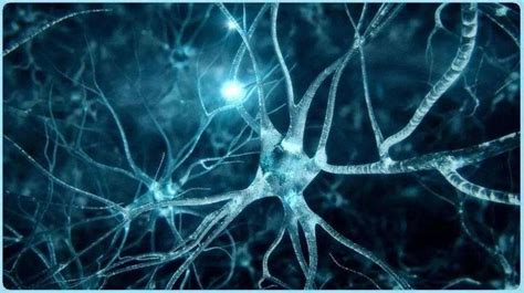 5月总结，了解大语言模型最新进展：10篇论文，篇篇高能！ 知乎