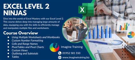 Microsoft Excel Level 2 Ninjas Imagine Training