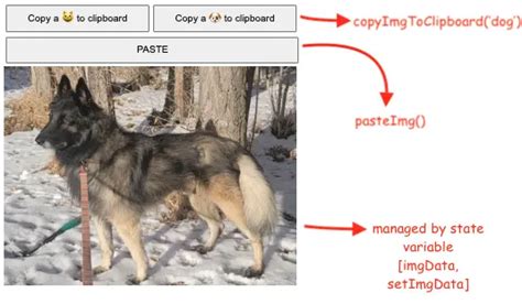 Copy And Paste Images To The Clipboard In React