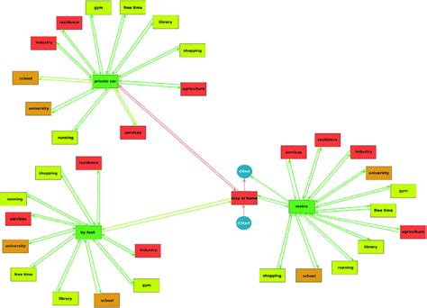 Process Map Of The Daily Activities In The Populations Redder Nodes Download Scientific