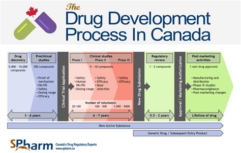Drug Development Process Flowchart