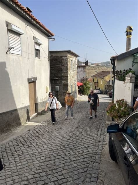 포르투 기타 근교투어 도우로 밸리 하이킹 And 와이너리 방문 및 시음 And 피크닉 포르투 마이리얼트립