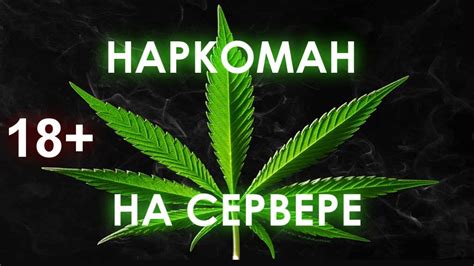 НАРКОМАН НА СЕРВЕРЕ Youtube