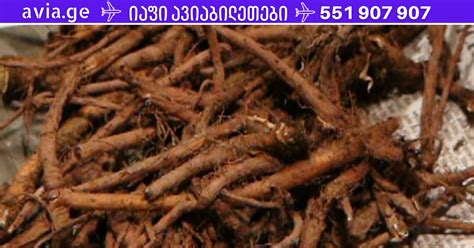 ამ მცენარის ფესვი ჭამიდან მხოლოდ 48 საათის შემდეგ უნდა მიიღოთ და ის დაუყოვნებლივ კლავს