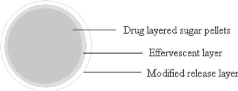 Design Of Multiparticulate Floating Drug Delivery System Download Scientific Diagram