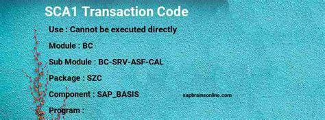 Sca1 Sap Tcode For Cannot Be Executed Directly