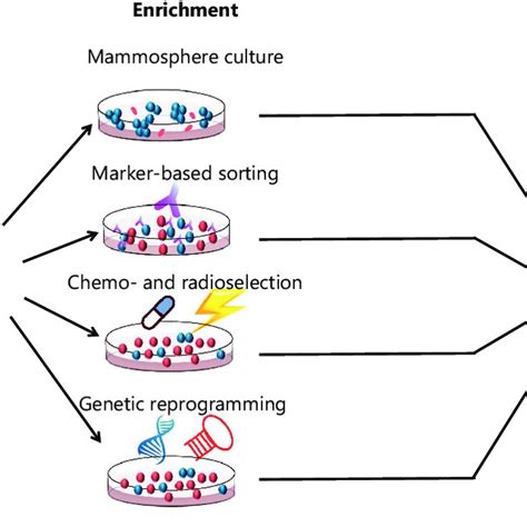 Schematic Representation Of Conventional Methods Used For Csc
