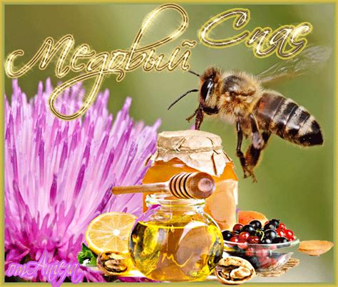 Медовый Спас 2021 красивые открытки поздравления и стихи Главком