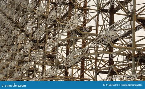 Structure Branch Tourist Attraction Tree Picture Image 115876700