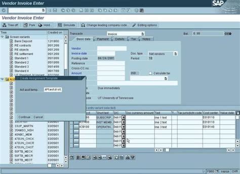 sap account assignment template