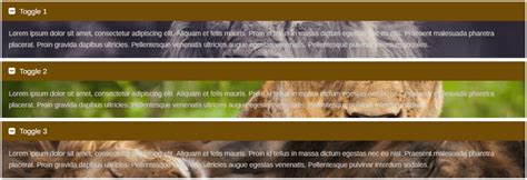 Divi Plugin Highlight Divi Accordion