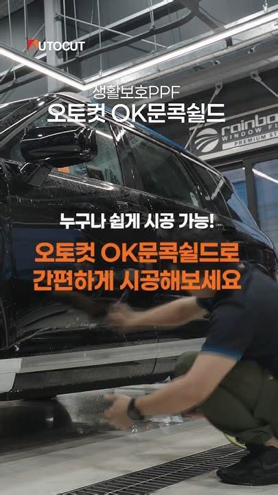 디올뉴 팰리세이드 2세대 Lx3 풀체인지 문콕방지 도어가드 표준형 Ppf필름 시공방법 알려드립니다 Ppf필름ppf보호필름