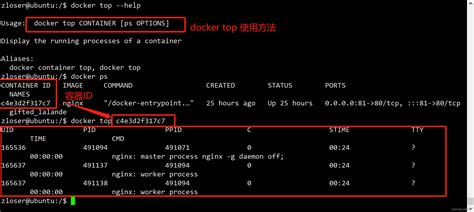 docker容器运维操作命令 阿里云开发者社区