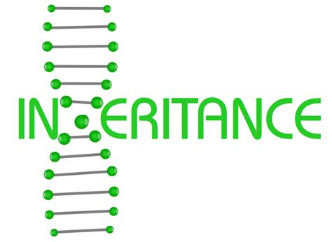 Inheritance In Python Bangla অবজেক্ট ওরিয়েন্টেড প্রোগ্রামিং এর