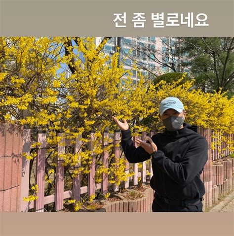 진태현 임신 ♥박시은과 여전한 신혼 모먼트…개나리보다 이쁘지요