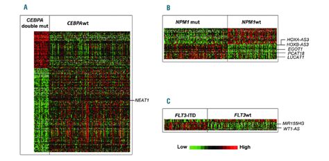 Long Non Coding Rna Lncrna Expression Signatures Associated With