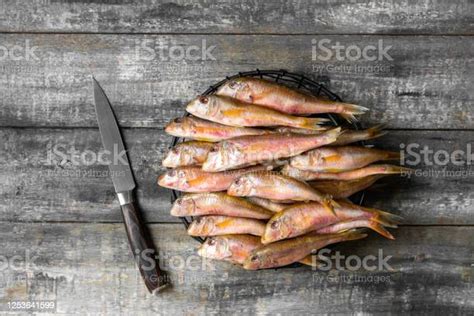 검은 바다 물고기 회색 나무 테이블에 검은 그릇에 붉은 숭어 바라불카 물고기의 많은 텍스트 공간이 있는 상단 보기 가숭어에 대한 스톡 사진 및 기타 이미지 Istock