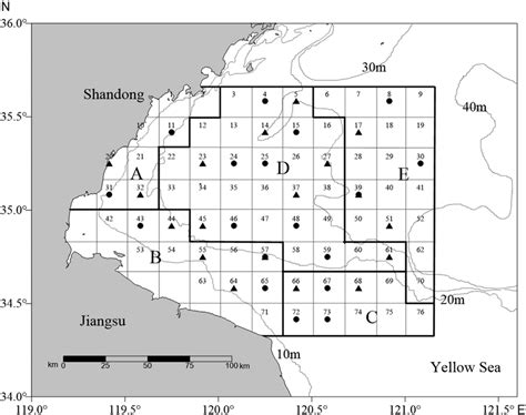 Sampling Grid Cells Sampling Units In A Stratified Random Survey And