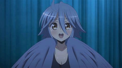 Happy Papi Scrolller