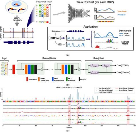 Bmc On Linkedin Towards In Silico Clip Seq Predicting Protein Rna Interaction Via