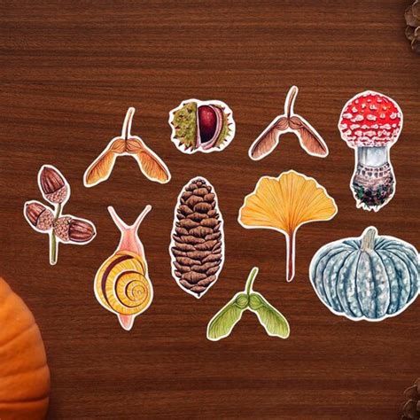 Cute Mushroom Sticker Pack Cute Mushroom Waterproof Vinyl Etsy