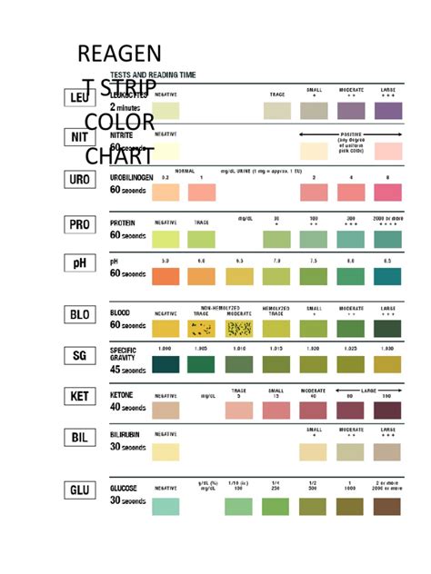 Reagent Strip Color Chart Pdf Reagent Strip Color Chart Pdf