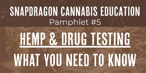 Hemp And Drug Testing What You Need To Know Navigating The Gray Areas Snapdragon Hemp