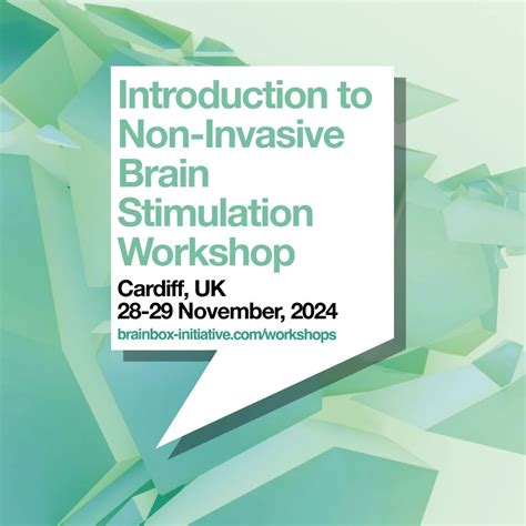 Tus Tms Tes Nibs Brainstimulation Cardiffworkshop Neuroscience Brainbox Ltd