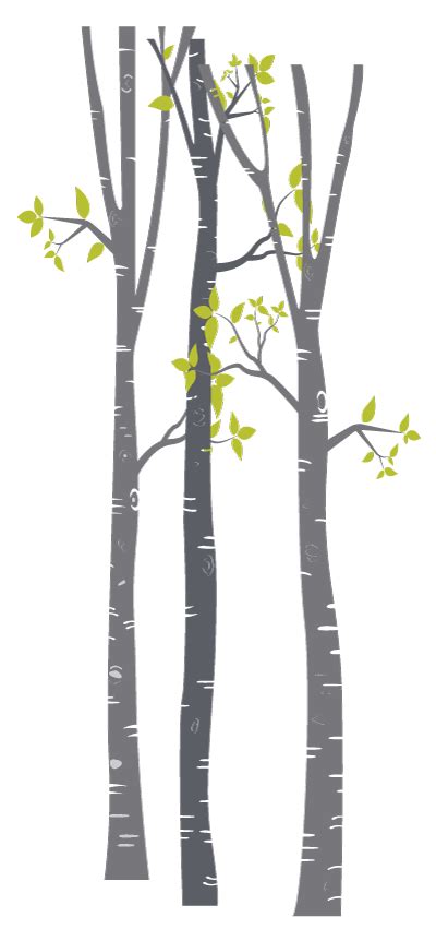 Trees Side Pediatric Cardiology Center Of Oregon