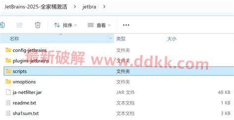 Datagrip 破解补丁激活教程（2025最新版）支持离线激活激活码获取