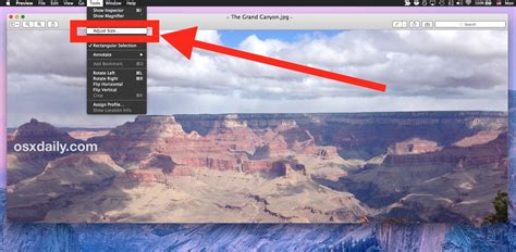 batch resize images mac 2016 musliio
