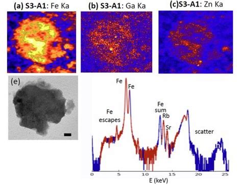 a c xrf maps for fe ga and zn and d xrf spectrum collected from