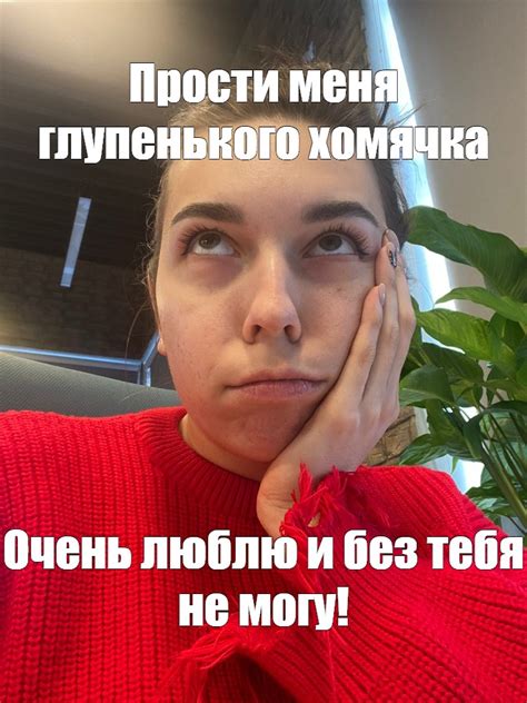 Мем Прости меня глупенького хомячка Очень люблю и без тебя не могу Все шаблоны Meme