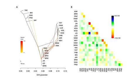 A The Maximum Likelihood Tree Generated By Treemix Up To The