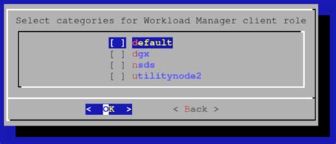 How Should I Set Up Slurm On A DGX Cluster Bright Cluster Manager Knowledge Base