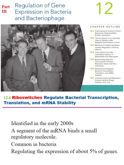 Chapter 12 Part 3 Pdf