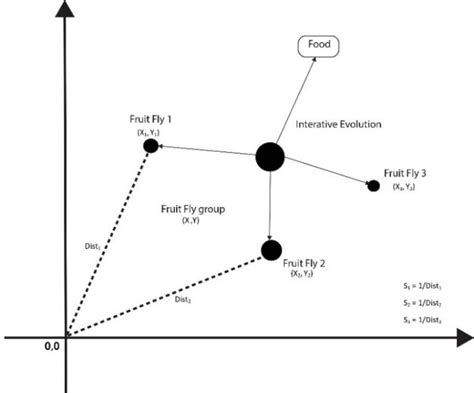 Iterative Search For Food Of Fruit Fly Swarm 3 Ii The System Model
