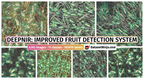 deepnir fruit detection dataset ninja