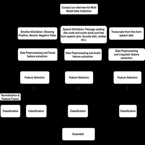 Work Flow For Detection Of Depression Using Multi Modal Approach Download Scientific Diagram