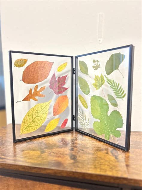 Nature Pressed Leaf Mural Pressed Leaf Art Framed Leaves Eco Art