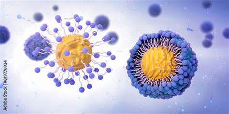 Soap Molecules Surrounding And Capturing Oily Particle Forming Micelles