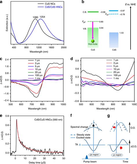 Extinction Spectra Band Diagrams Tr Ir Spectra And A Schematic Download Scientific Diagram