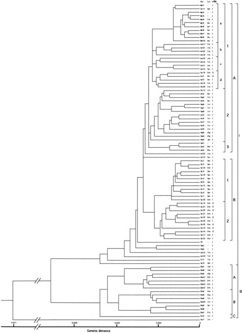 Phylogenetic Tree Constructed By Upgma Showing Relationships Among 90