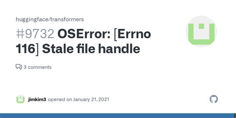 OSError Errno Stale File Handle Issue Huggingface Transformers GitHub