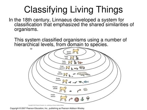 Ppt Classifying Living Things Powerpoint Presentation Free Download