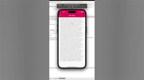 Flutter Create Custom Scroll View Animation An Image Into An App Bar Shorts Youtube