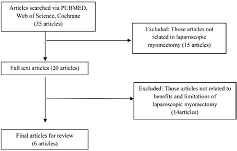 Flowchart Showing The Article Selection Process Included In The Review