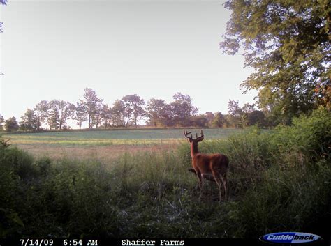 Disgustin Girl On Tumblr